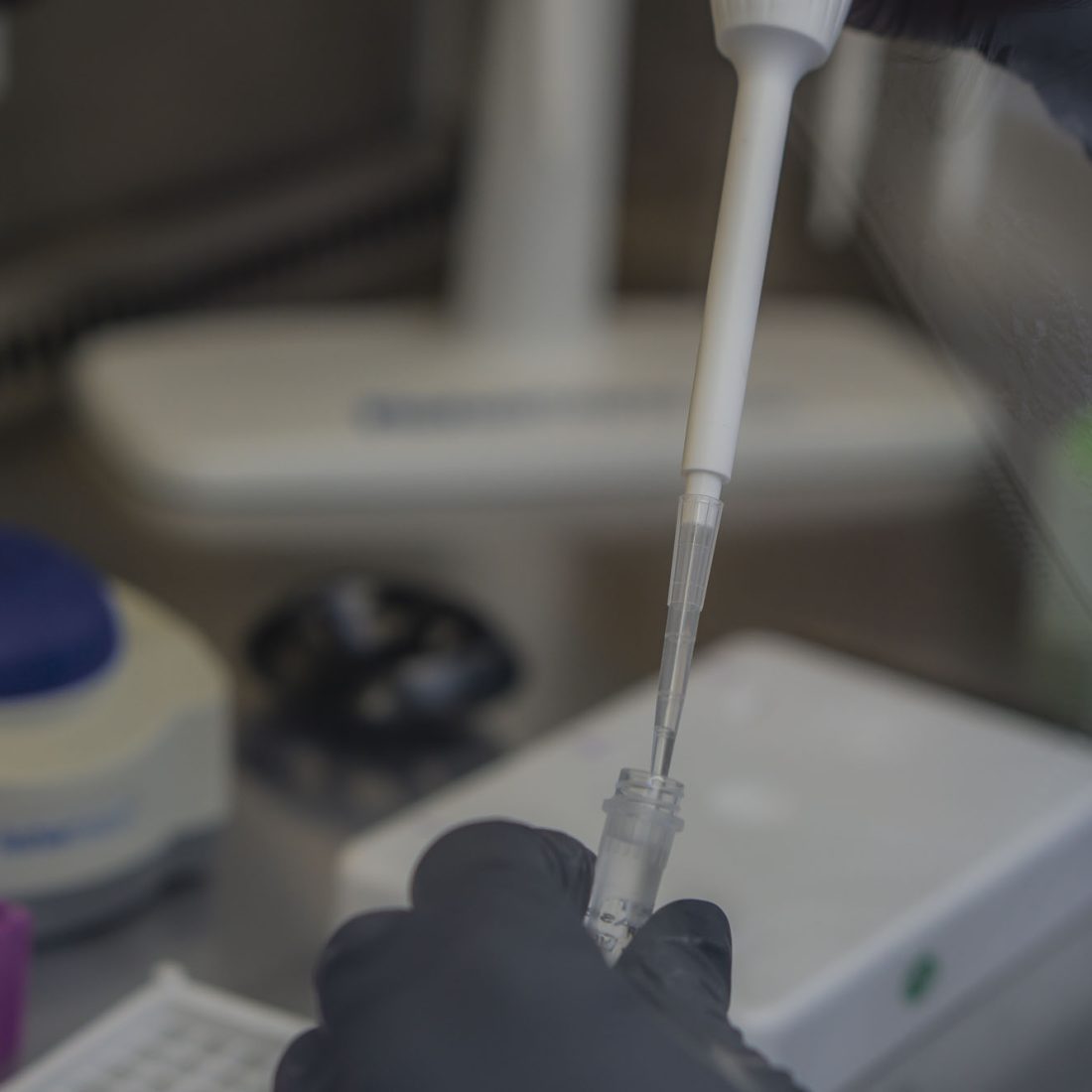 Tienda Virtual – Laboratorio SIGMA